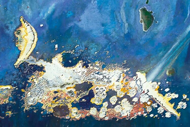 La mostra "Naturalità" di Giuseppe Brancato dal 22 aprile al Vittorio ...